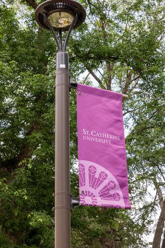 Accredited Online OTA Program - St. Catherine